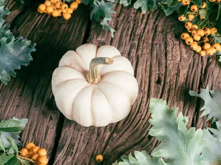 What Colors are Good for a Retirement Party? Top 35 Ideas - Enjoy ...